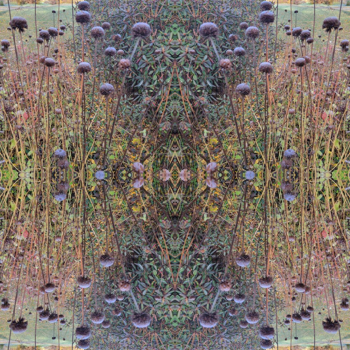 New Horizons – Tabbatha Henry